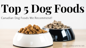 Top 5 Canadian Dog Foods We Recommend - Valley Canine Training