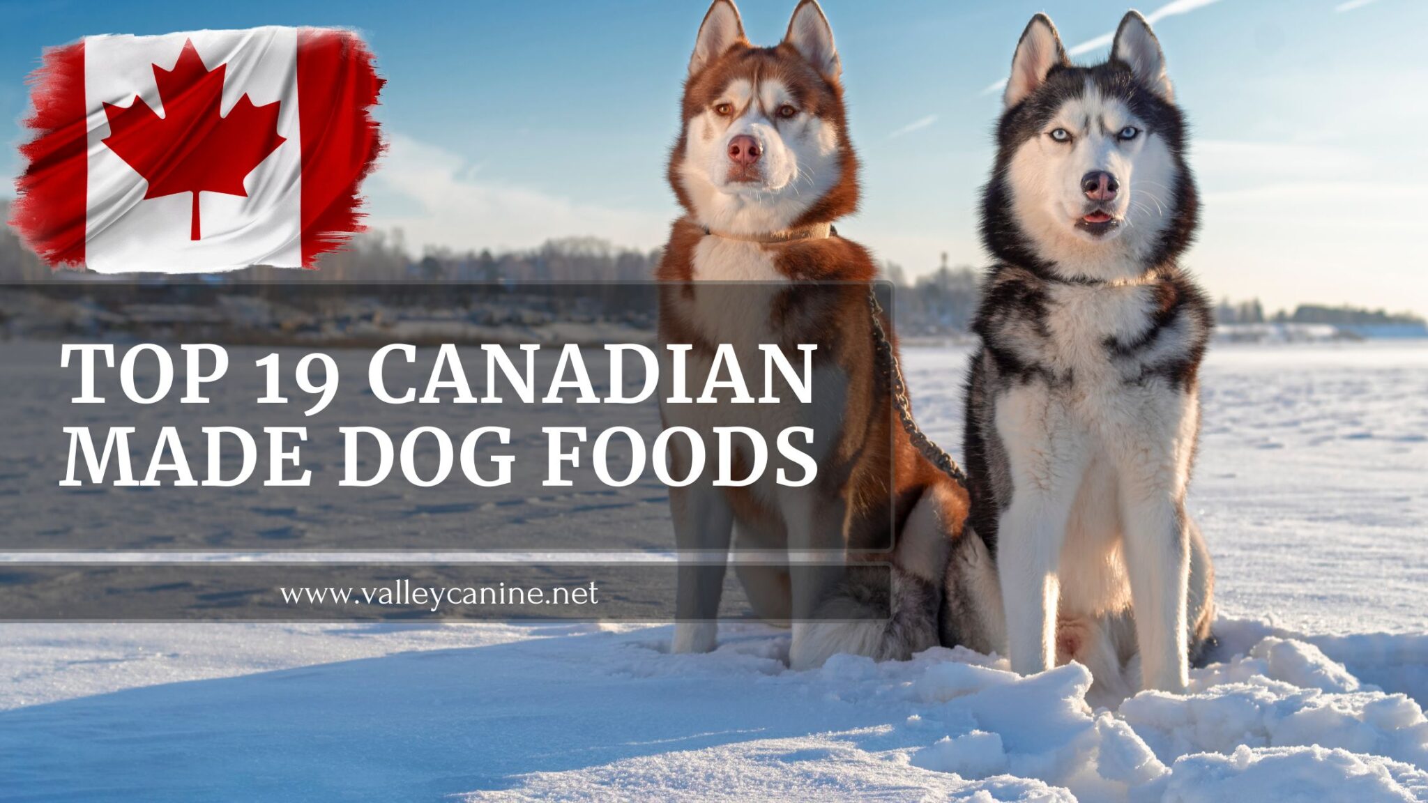 The Top 19 Best Canadian-Made Dog Foods - Valley Canine Training